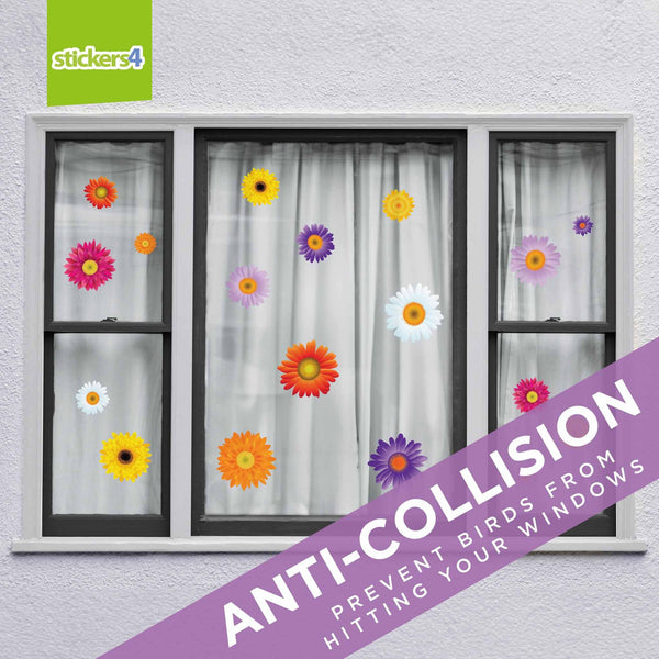 Gerbera & Daisy flower window stickers | Summer & Spring | Stickers4