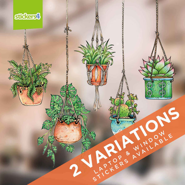 Illustrated Hanging Plants Window Sticker | Houseplant Stickers