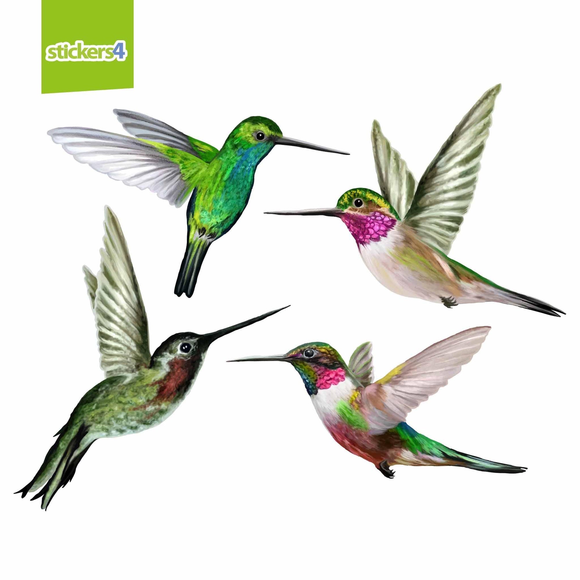 Set of 4 Humming Bird Window Stickers | Bird Strike Prevention