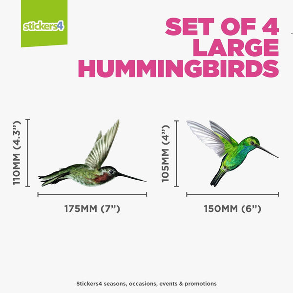 Set of 4 Humming Bird Window Stickers | Bird Strike Prevention