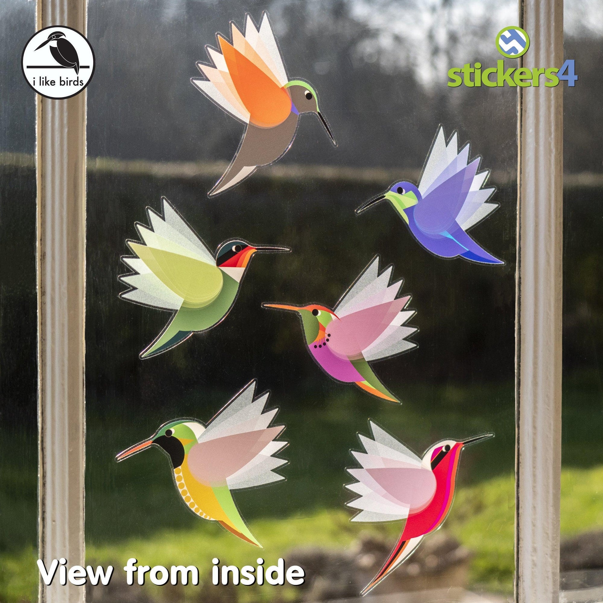 Exotic Hummingbirds | I Like Birds window stickers | Stickers4