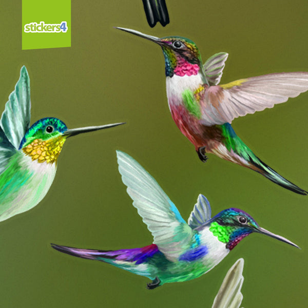 Set of 12 Hummingbird window stickers